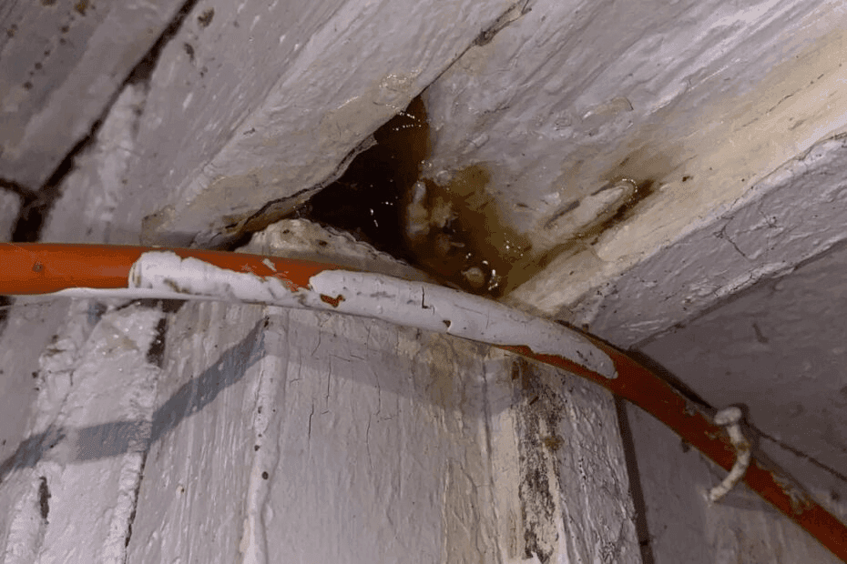 What is this sweet smelling brown stuff coming out of my basement wall ...
