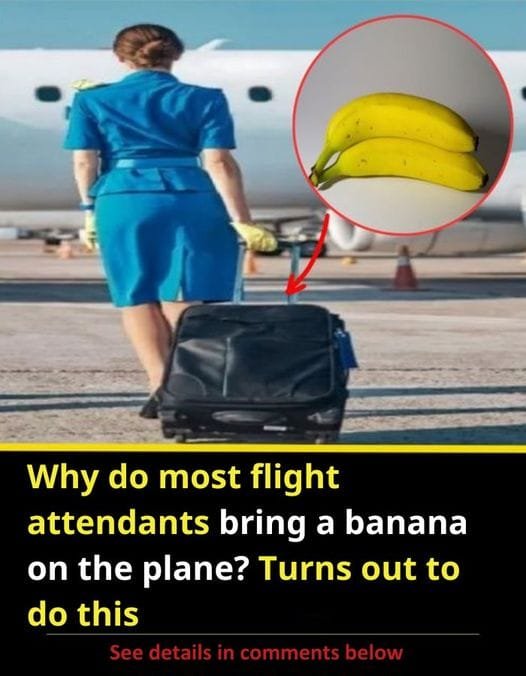 Why Do Most Flight Attendants Bring a Banana on the Plane? Turns Out to ...